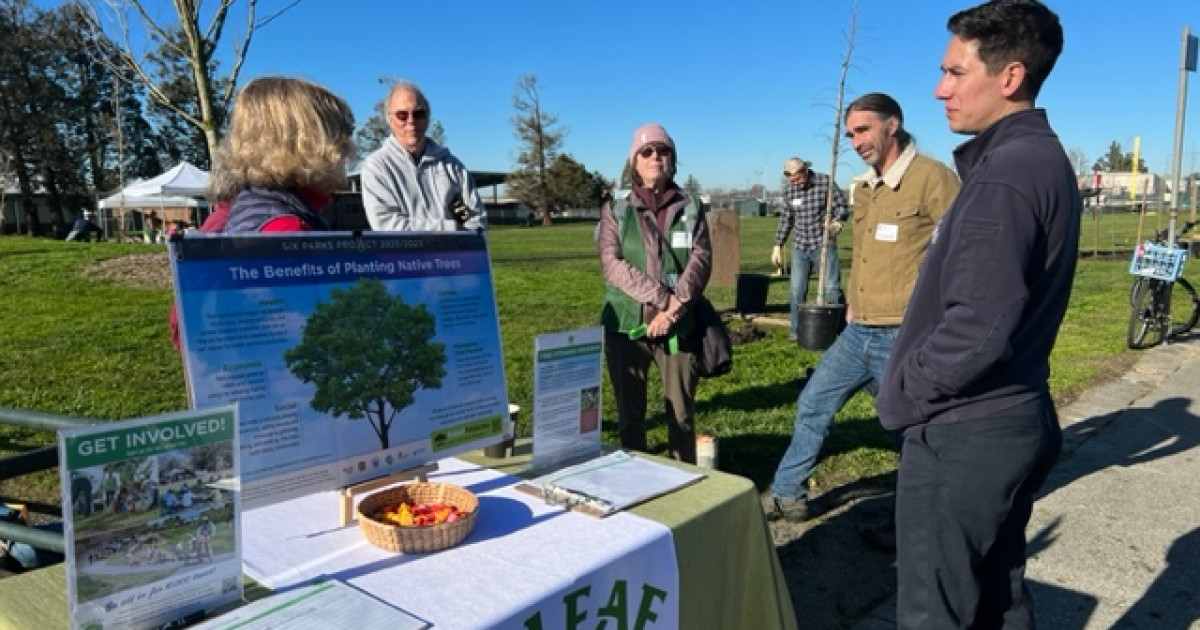 Petaluma’s Youth Plant Trees to Reduce Air Toxics | Healthy Babies ...
